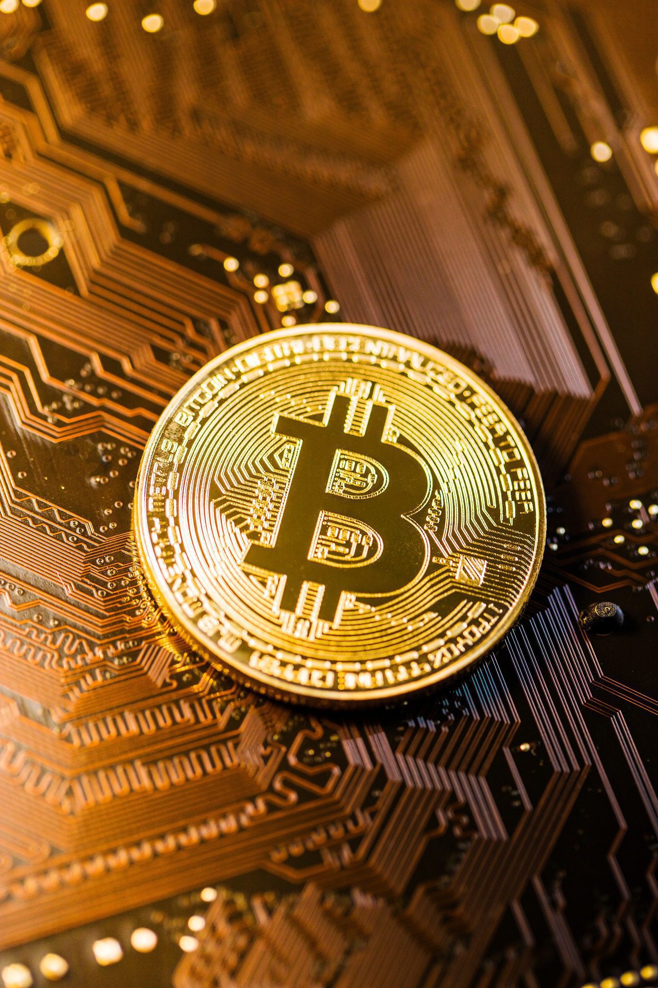 What Is a Crypto Wallet Address? A Beginner's Guide