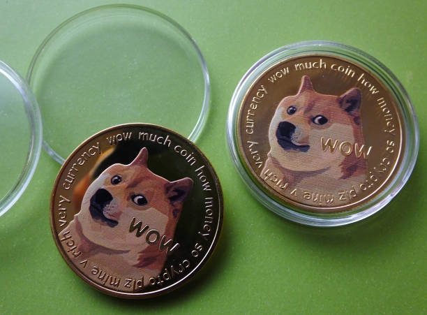 Dogecoin Poised to Surge to Unseen Heights This Cycle